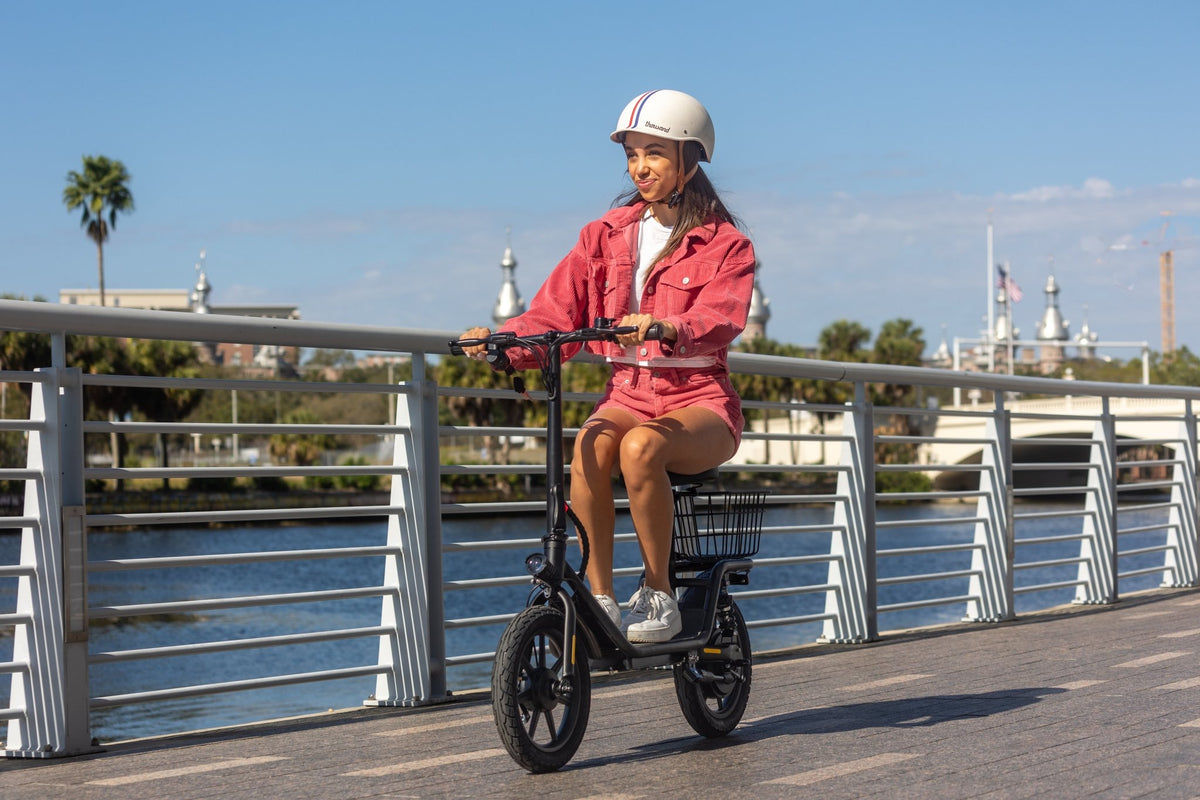 Unboxing & Overview: The Flex Electric Scooter - GOTRAX.com