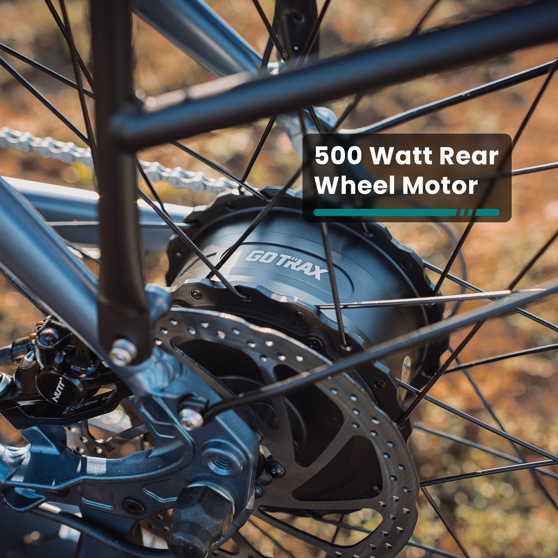 Alpine Fat Tire Electric Bike - GOTRAX.com