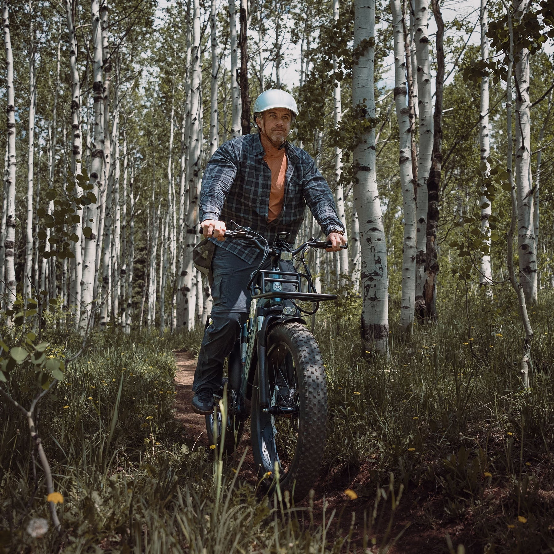 Alpine Fat Tire Electric Bike - GOTRAX.com