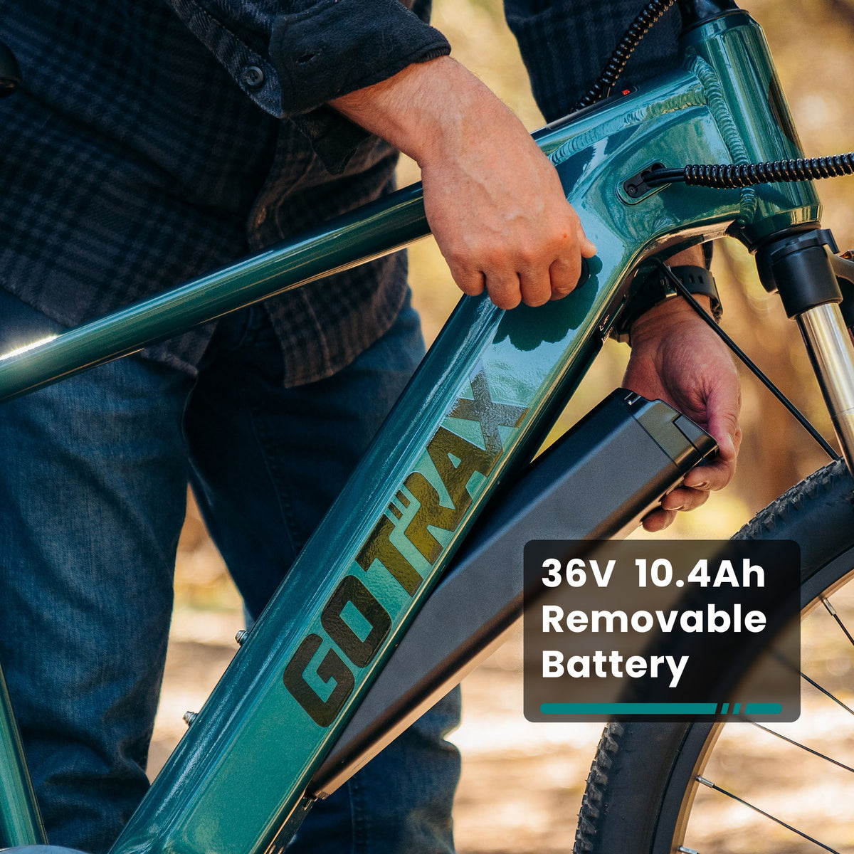 D1RT Electric Mountain Bike