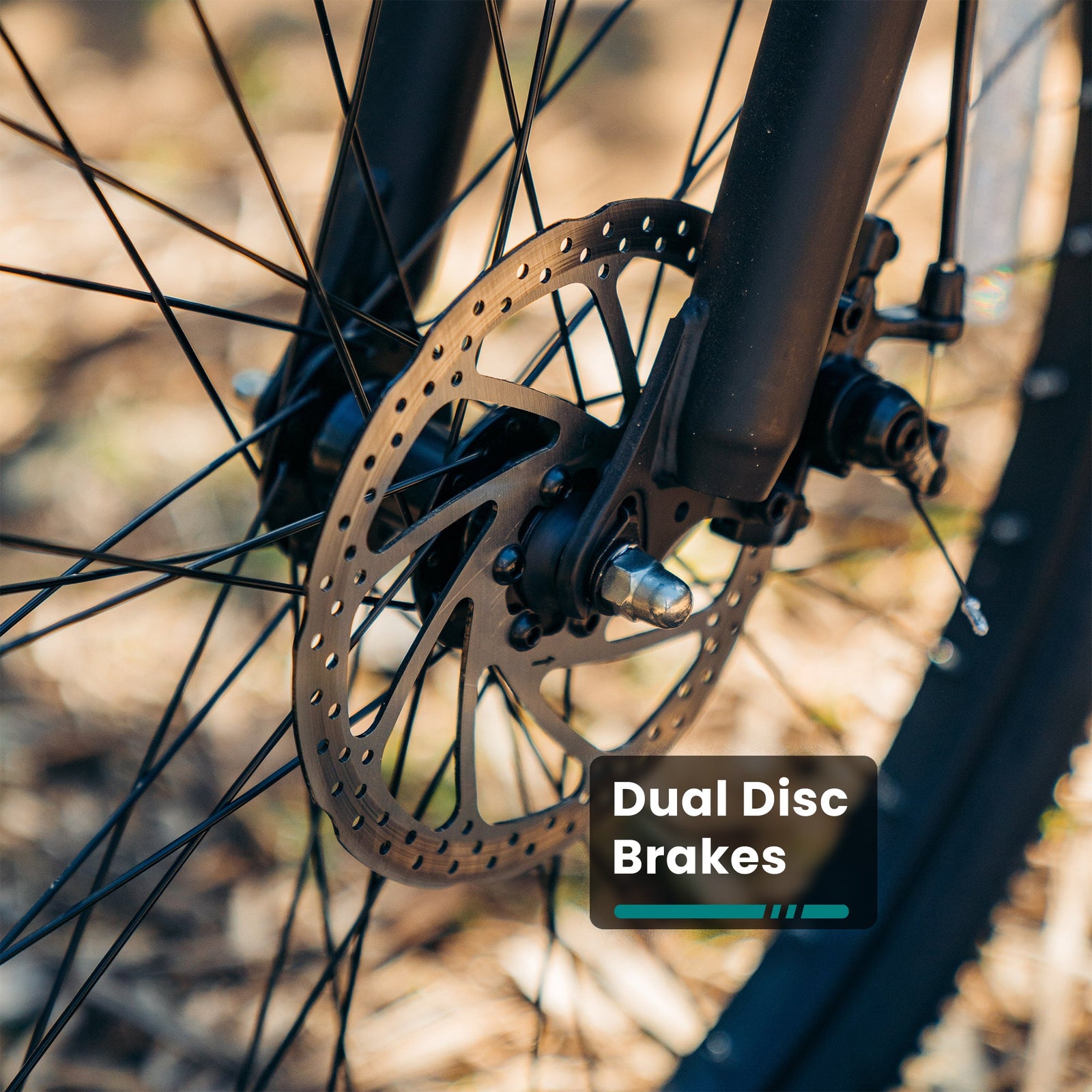 D1RT Electric Mountain Bike