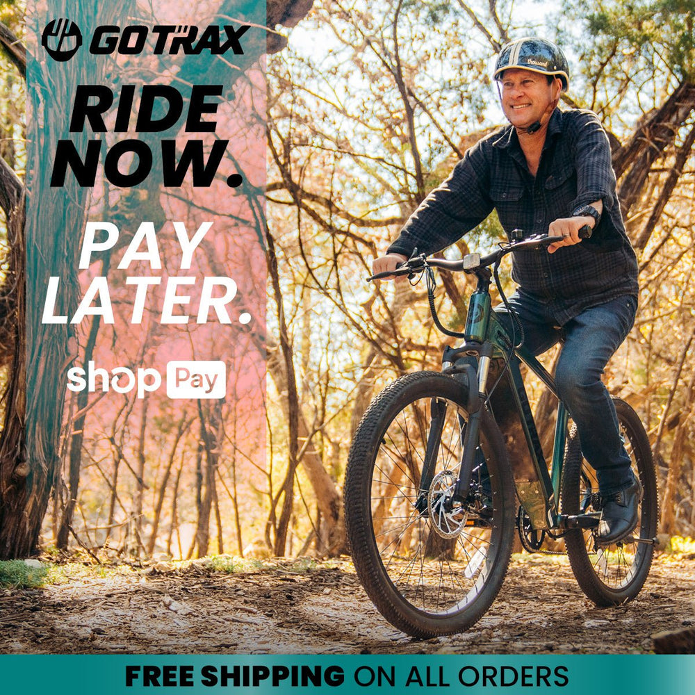 D1RT Electric Mountain Bike