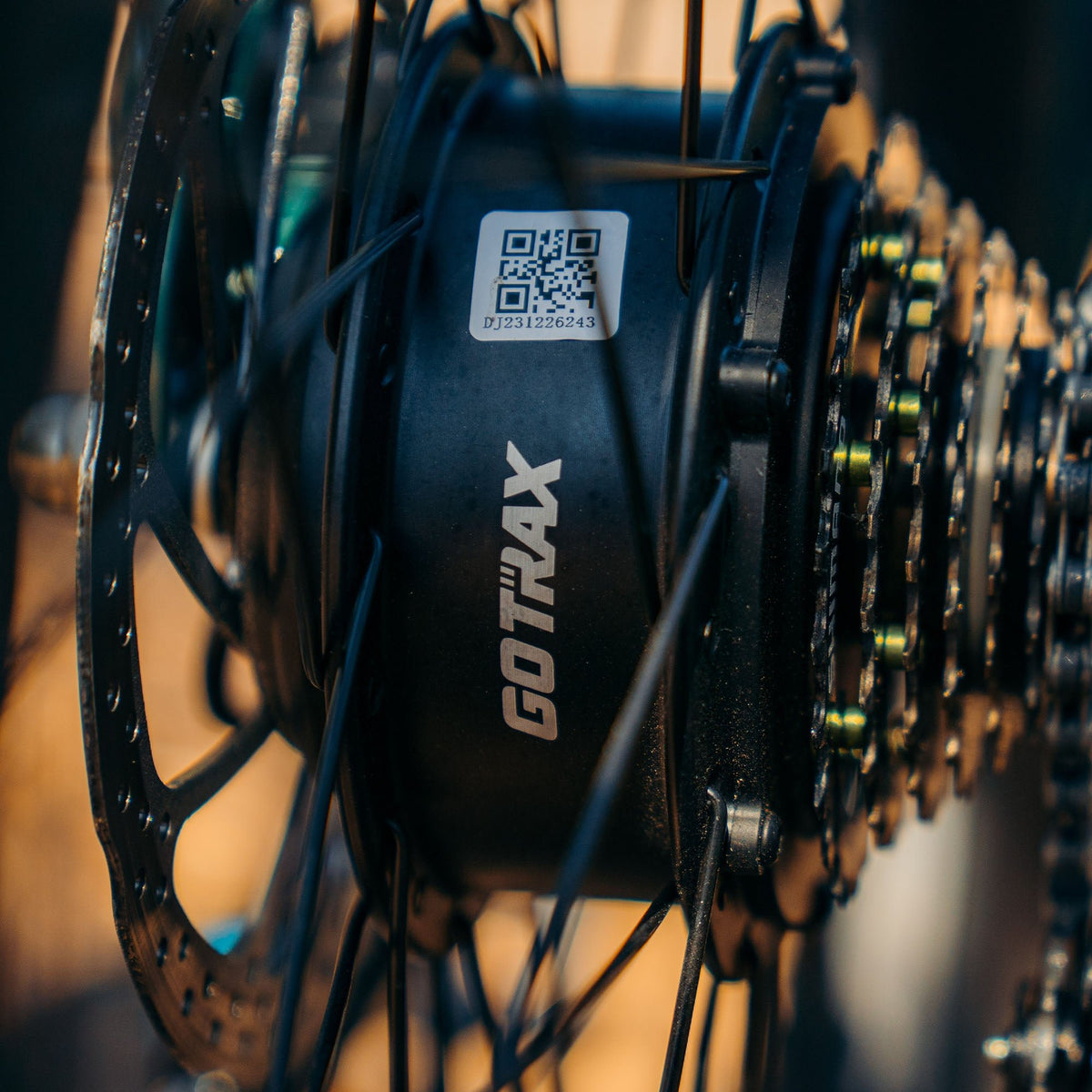 D1RT Electric Mountain Bike