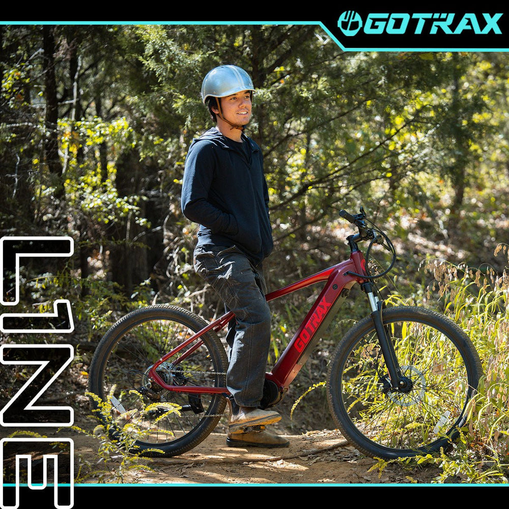 L1NE Electric Mid Drive eMTB