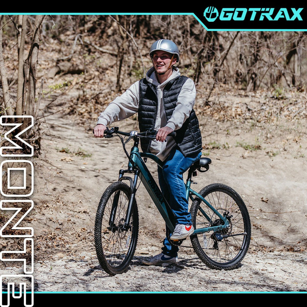 Monte Electric Bike