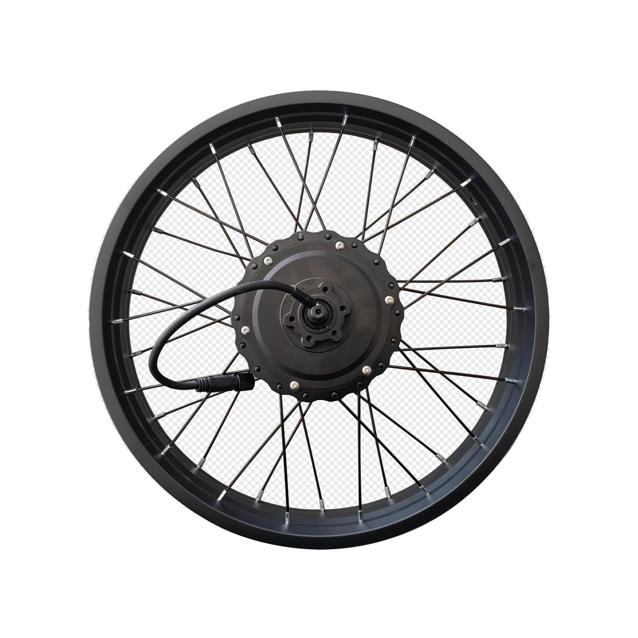 R2/F2 Electric Bike Motor Wheel Assembly