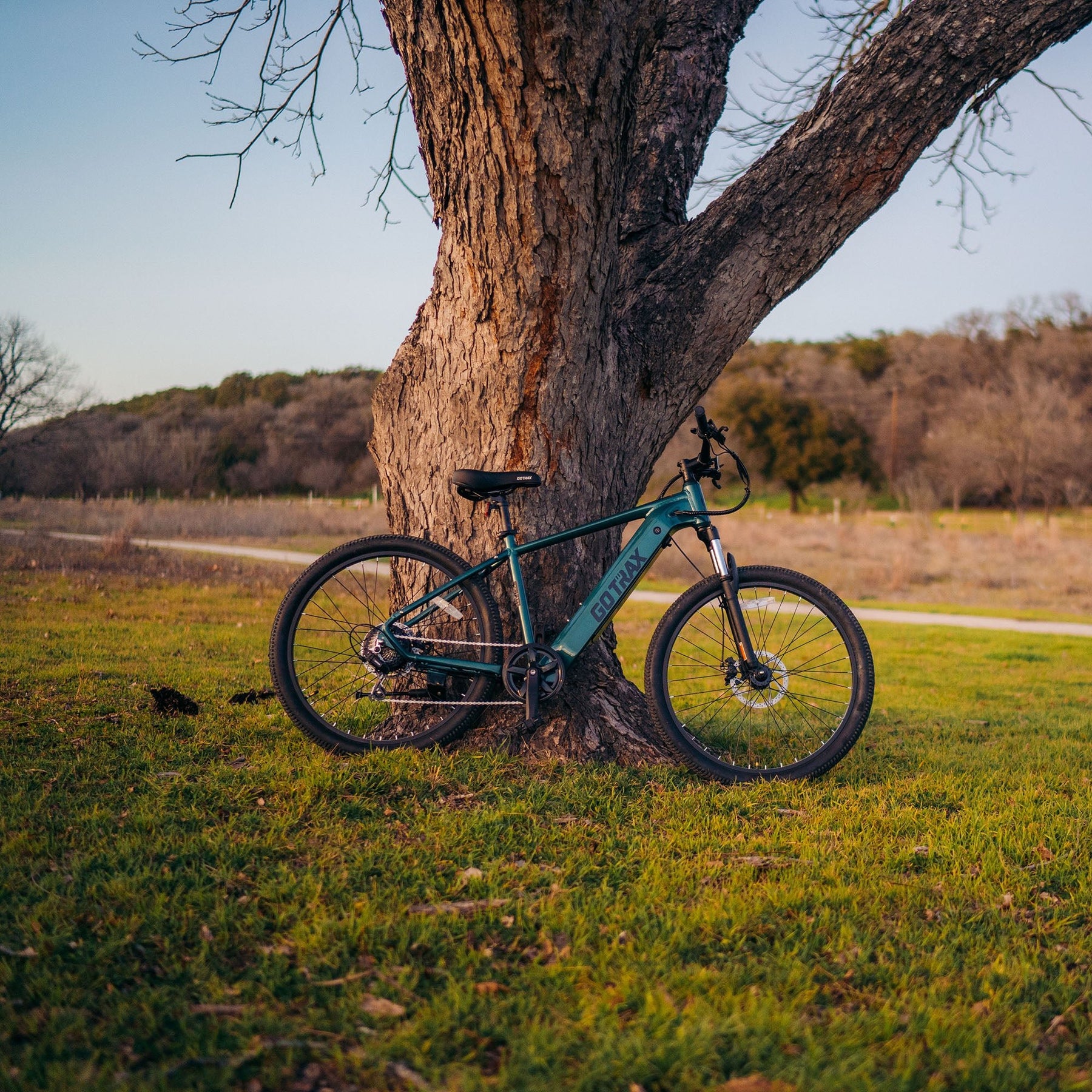 D1RT Electric Mountain Bike