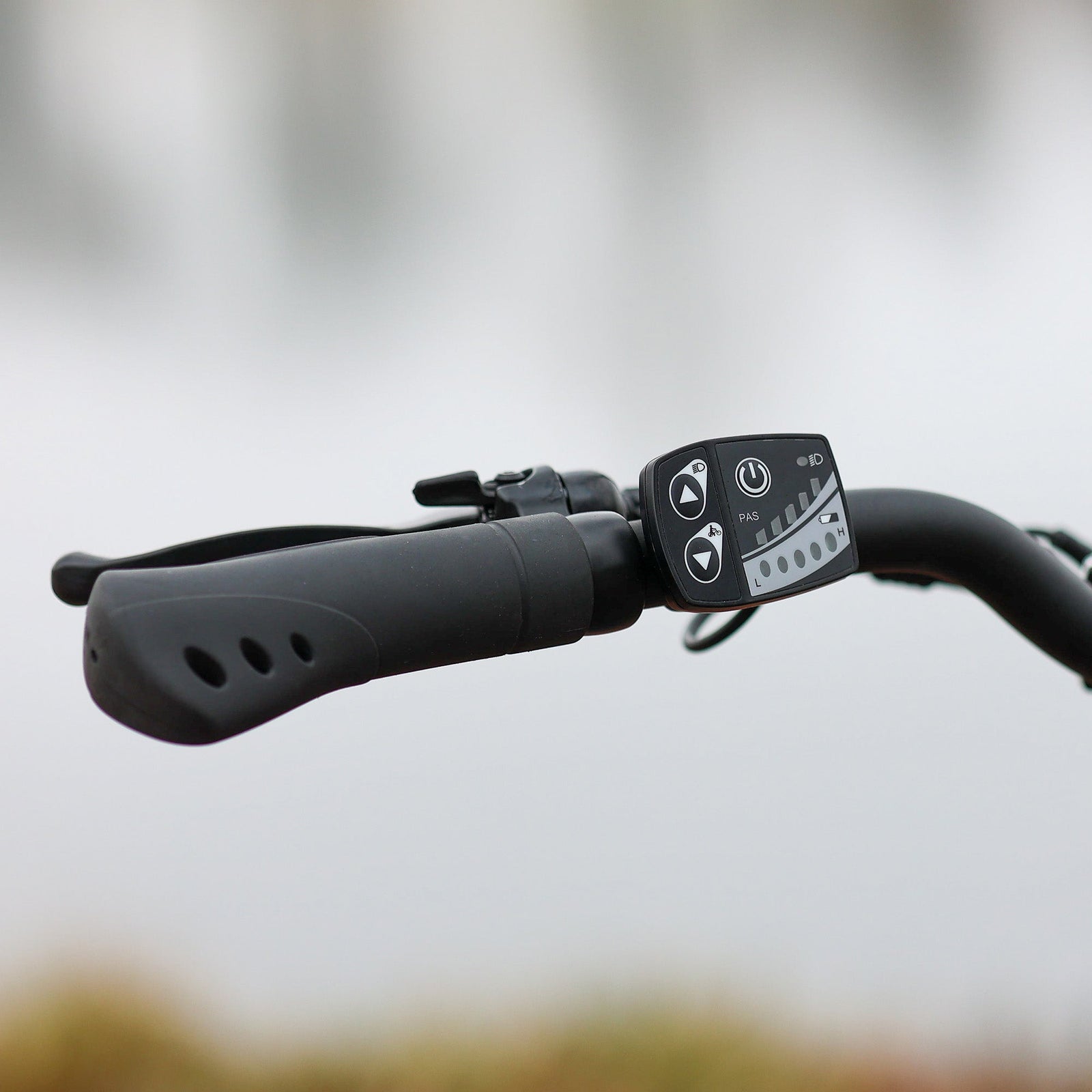 Porter Electric Cargo Bike - GOTRAX.com